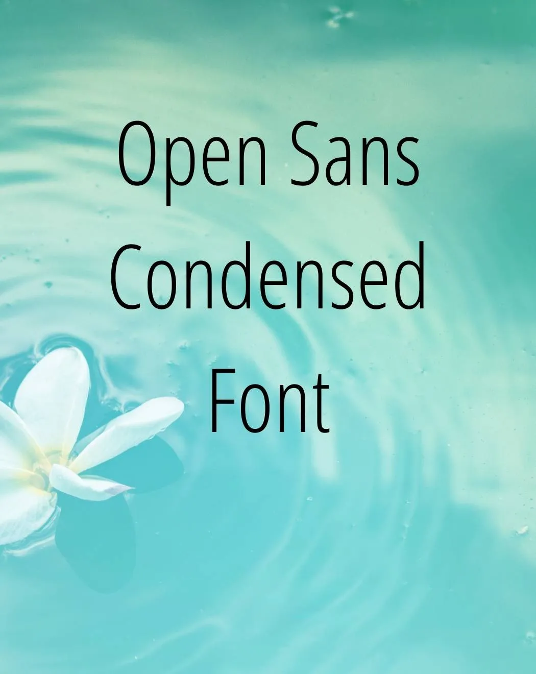 Open Sans Condensed Font Free Download Open Sans Condensed Font Free Download